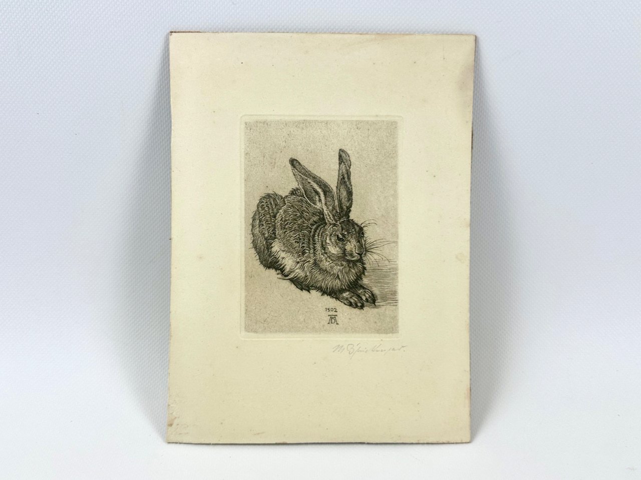 After Albrecht Dürer, Young Hare, Copperplate Engraving, 19th Century ...