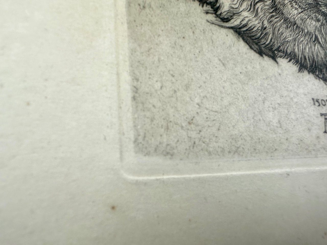 After Albrecht Dürer, Young Hare, Copperplate Engraving, 19th Century ...