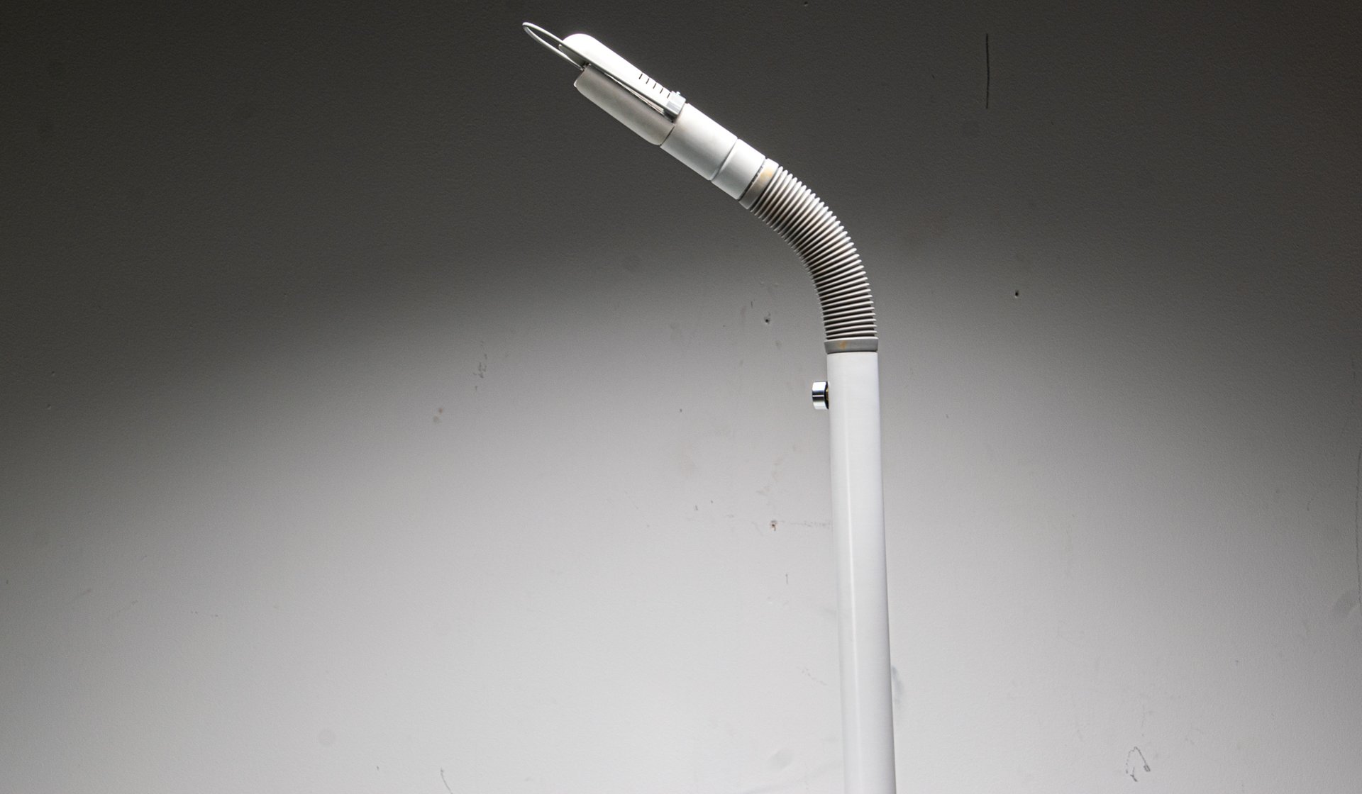 Targetti Flexible Floor Lamp, 1980 for sale at Pamono