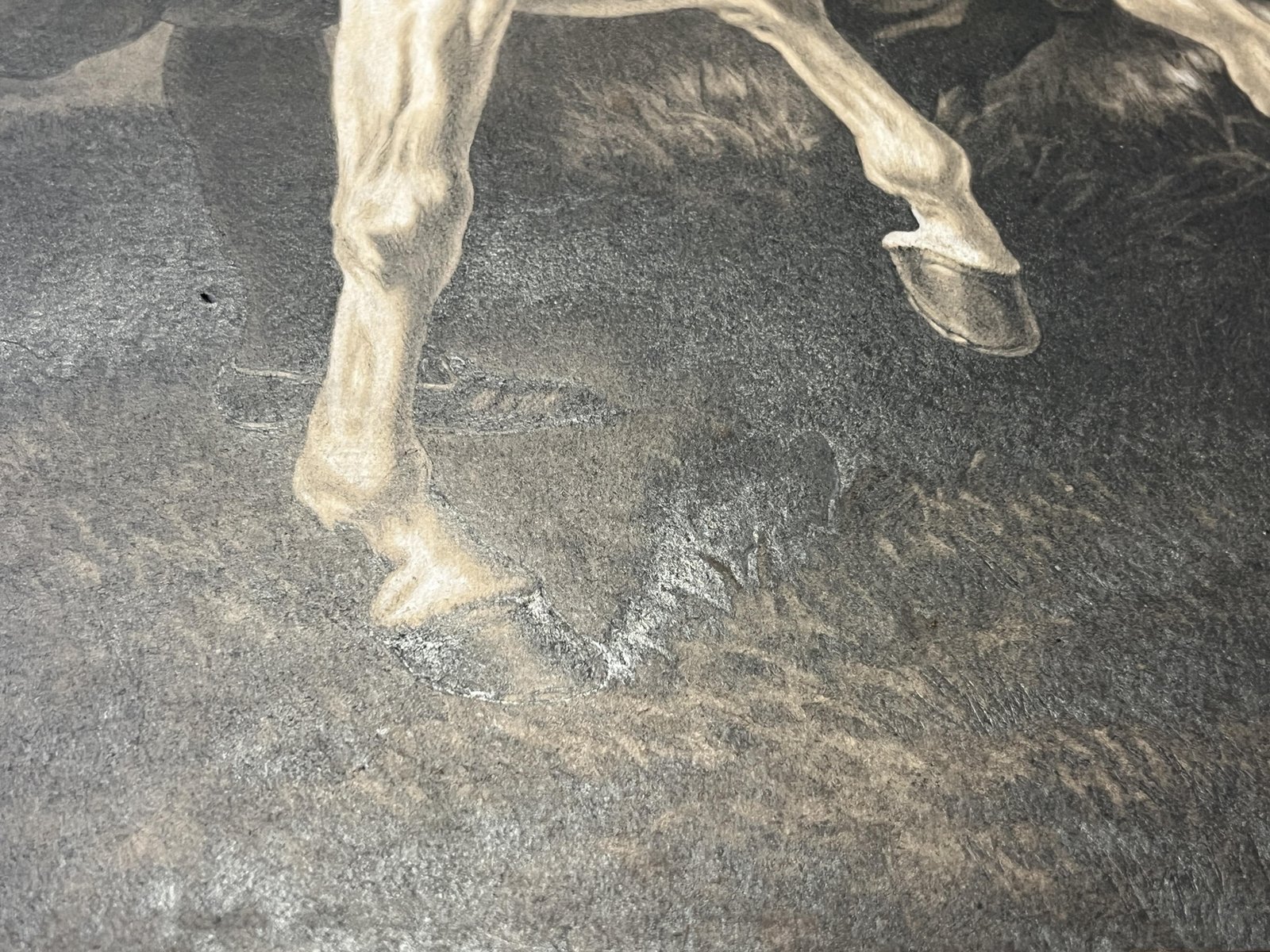 Charles Bargue after Alfred De Dreux, Horse, 1859, Pencil Drawing on ...