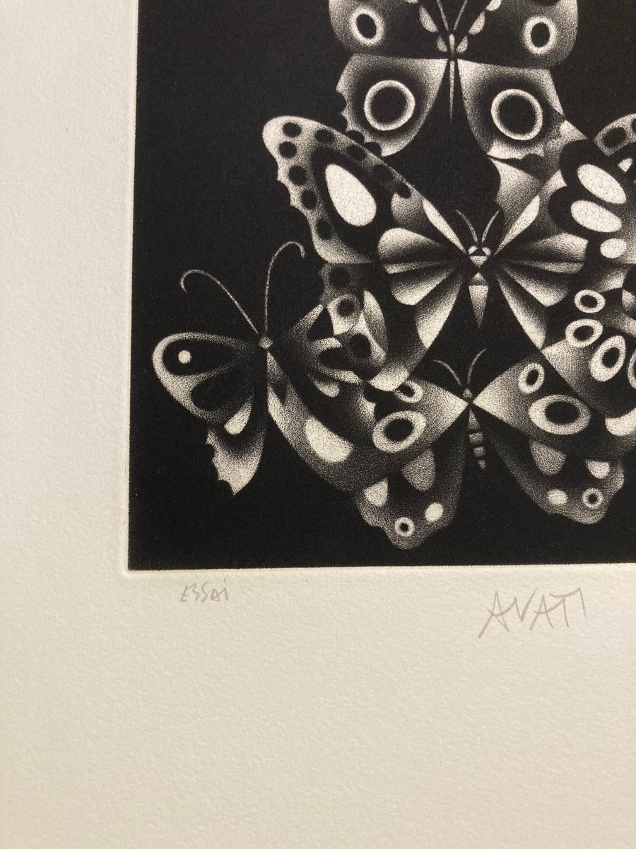 Mario Avati, Butterflies, 1970, Mezzotint Print for sale at Pamono