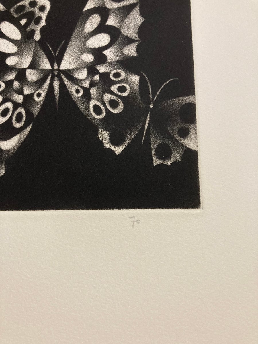 Mario Avati, Butterflies, 1970, Mezzotint Print for sale at Pamono