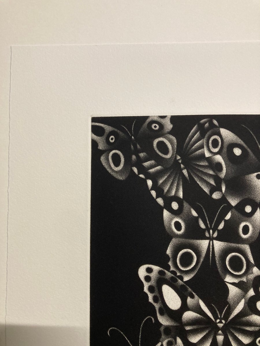 Mario Avati, Butterflies, 1970, Mezzotint Print for sale at Pamono