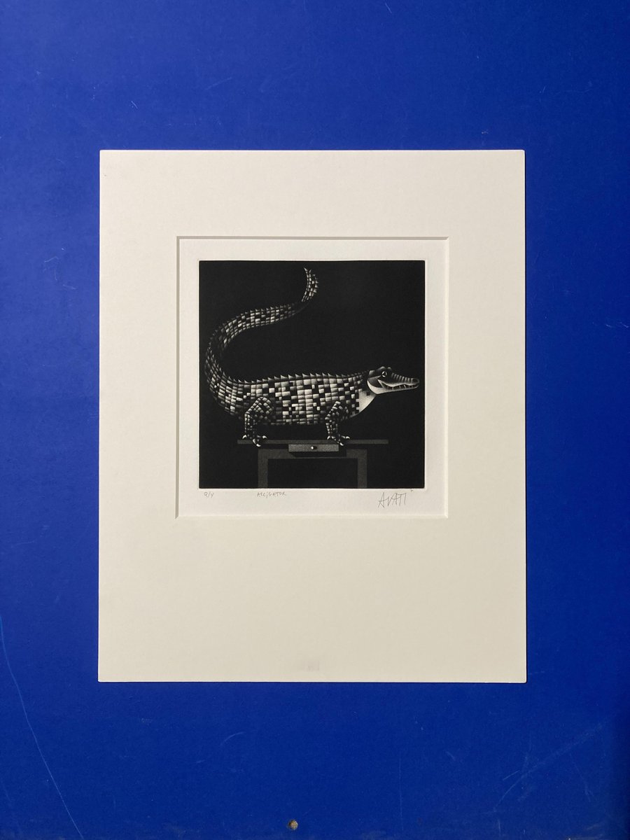 Mario Avati, Alligator, 1970, Mezzotint Print for sale at Pamono