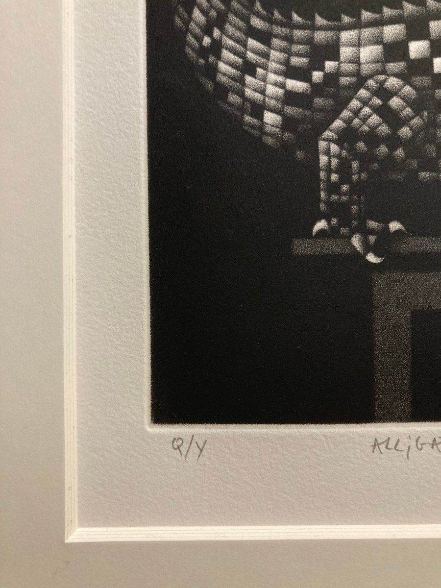 Mario Avati, Alligator, 1970, Mezzotint Print for sale at Pamono