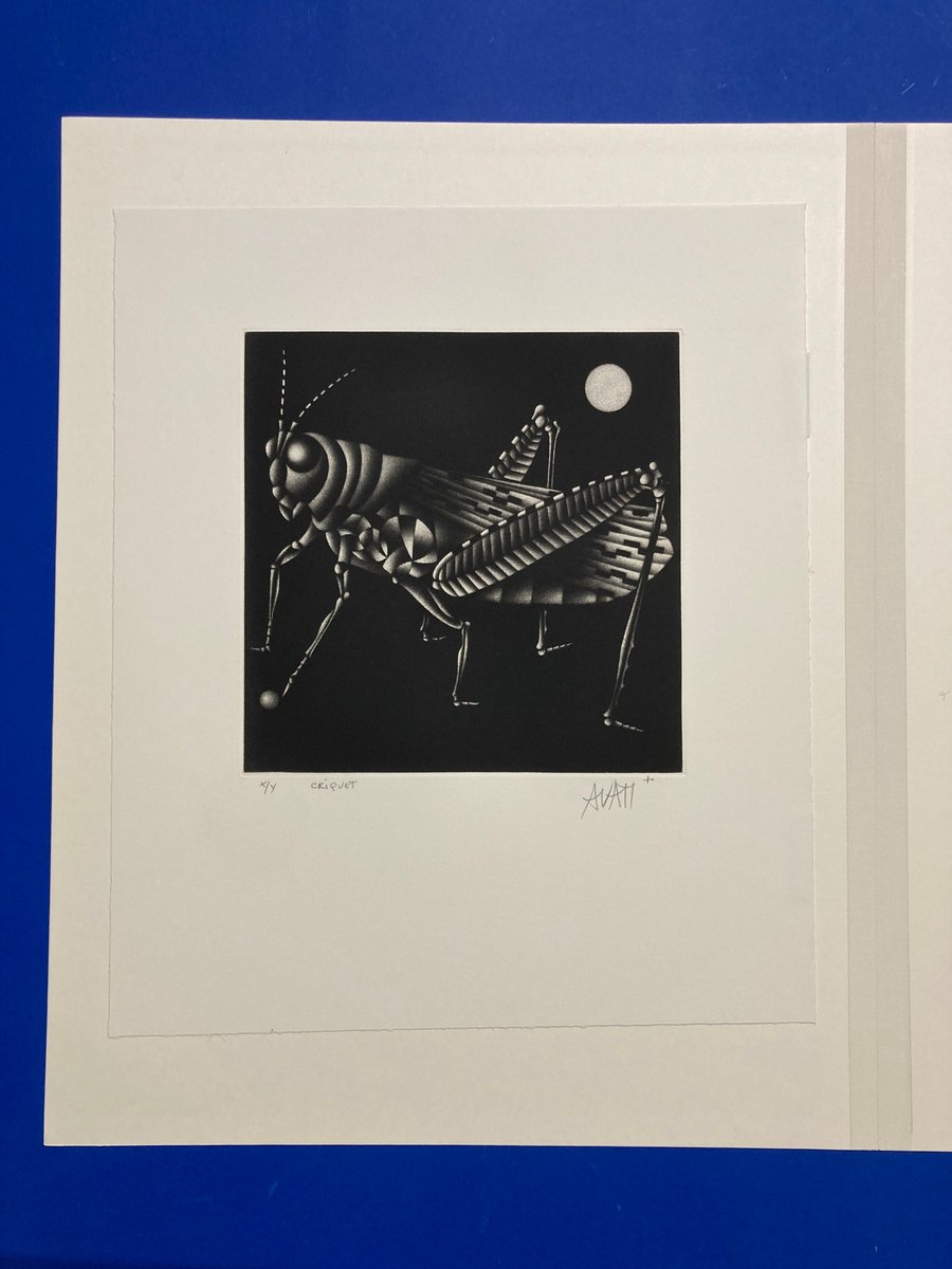 Mario Avati, Cricket, 1970, Mezzotint Print for sale at Pamono