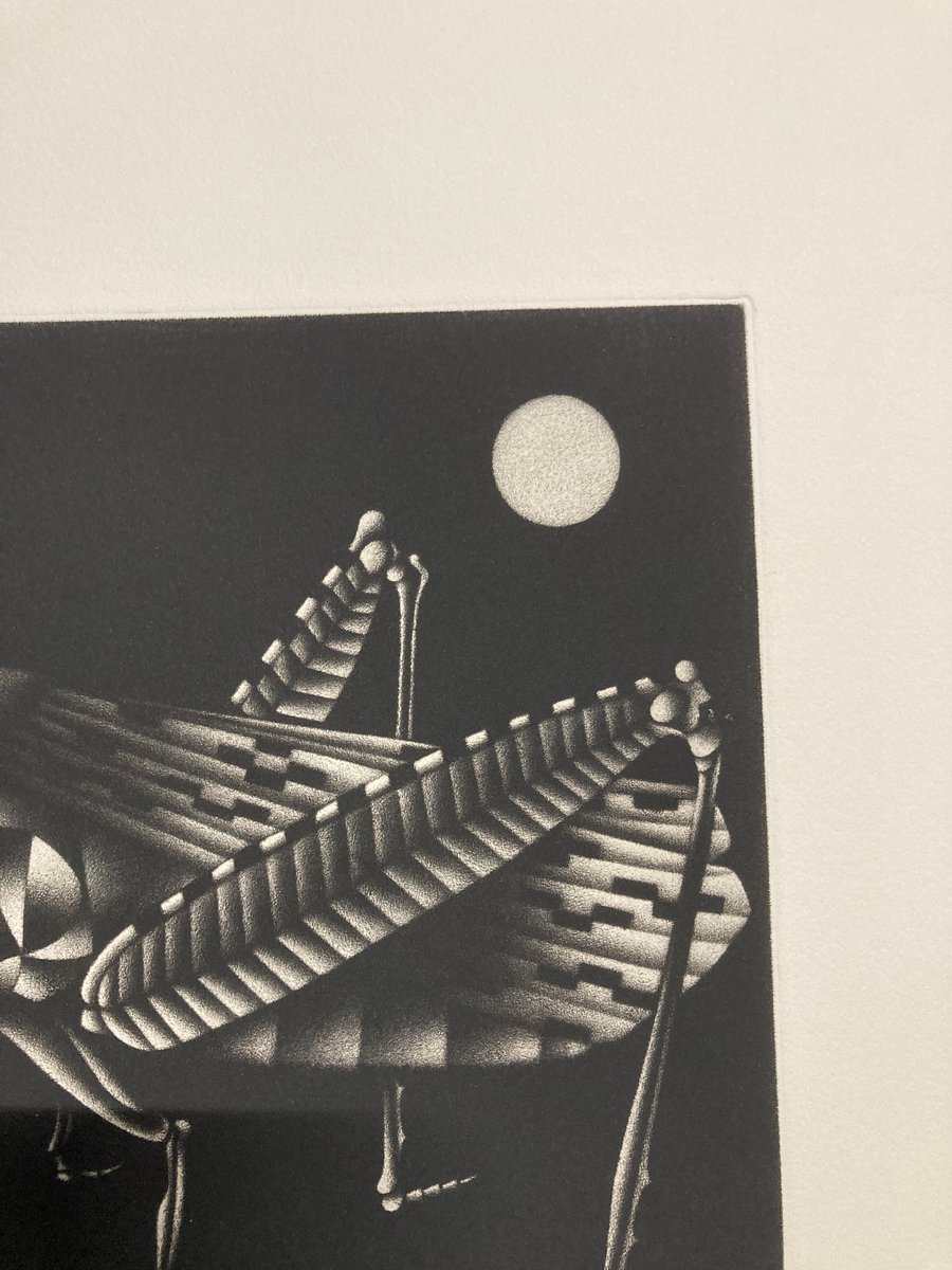 Mario Avati, Cricket, 1970, Mezzotint Print for sale at Pamono