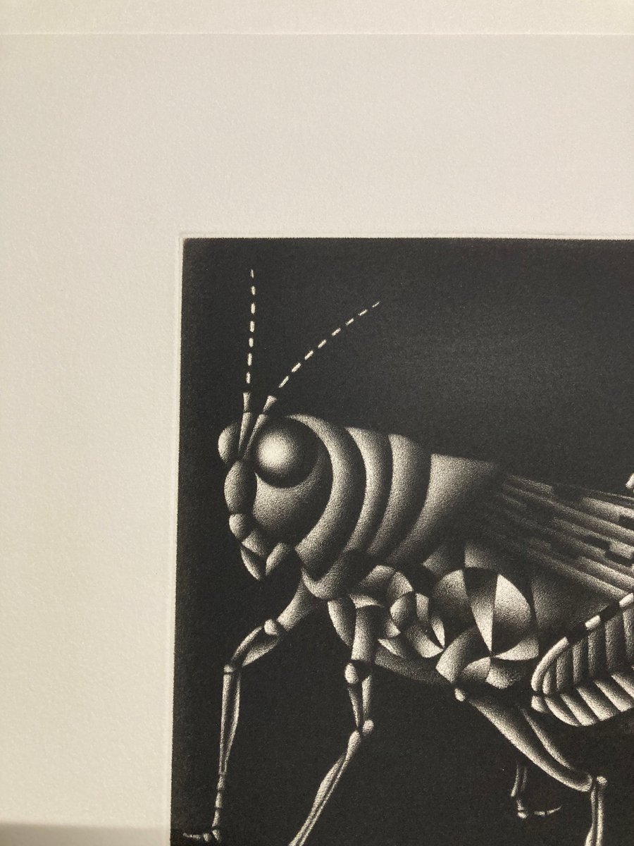 Mario Avati, Cricket, 1970, Mezzotint Print for sale at Pamono