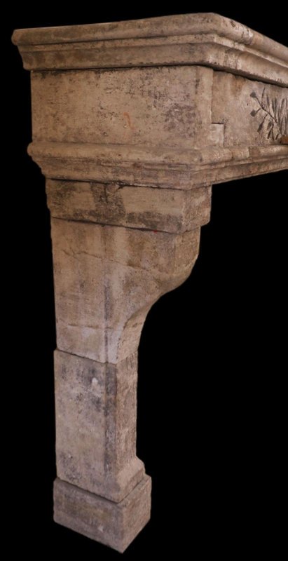 Early 20th Century French Carved Limestone Fireplace with Laurel ...