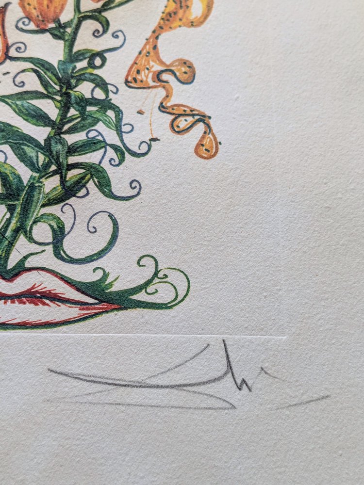 Salvador Dali, Tiger Lilies, 1972, Hand-Signed Original Etching in ...
