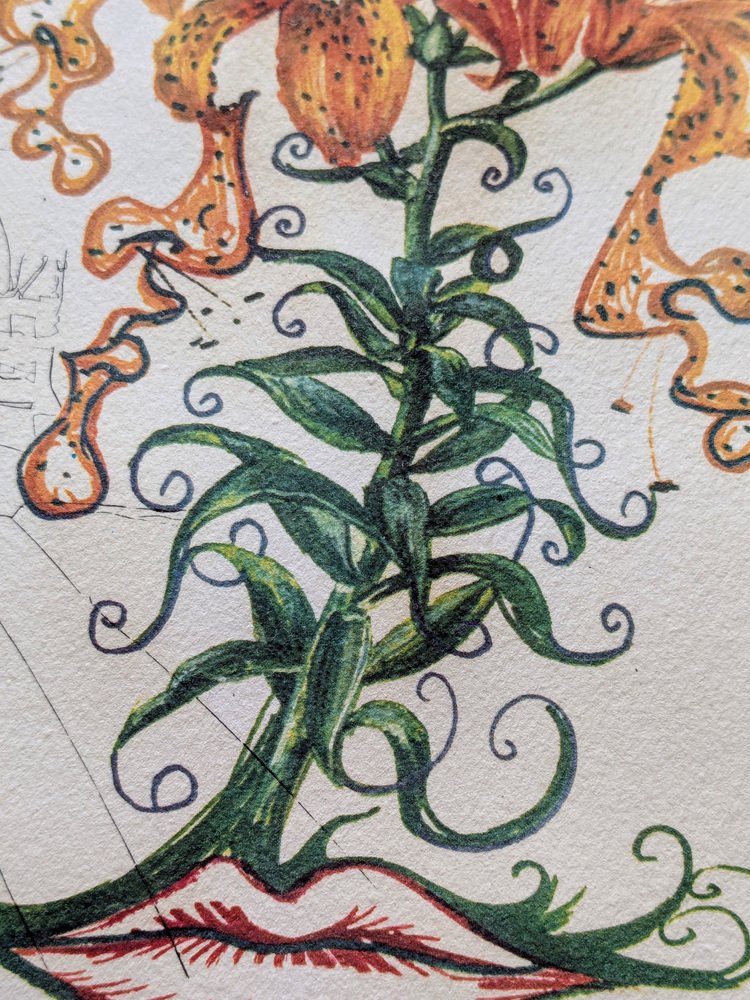 Salvador Dali, Tiger Lilies, 1972, Hand-Signed Original Etching in ...