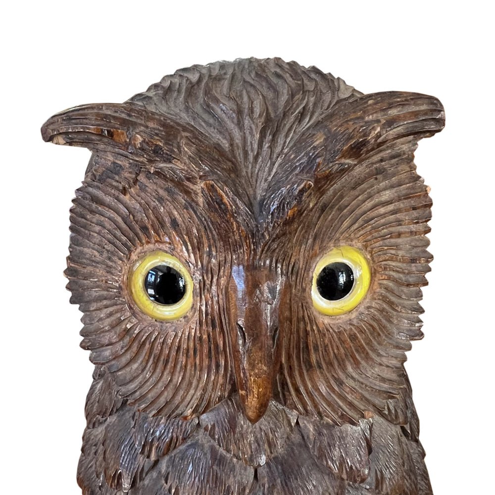 Swiss Black Forest Carved Owl with Glass Eyes, 1900s for sale at Pamono