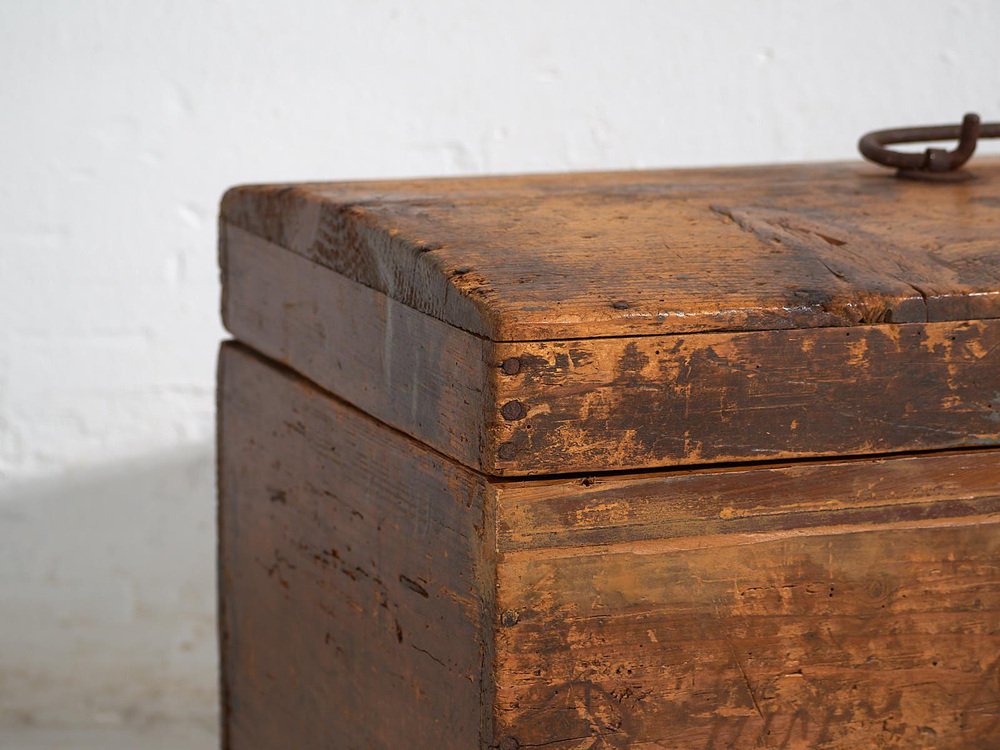 Vintage Storage Chest, 1920 for sale at Pamono
