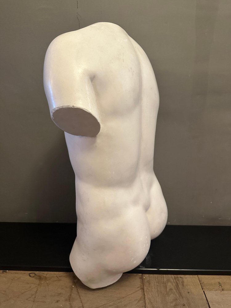 Italian Life Size Plaster Torso of Venus De Milo, 1950 for sale at Pamono