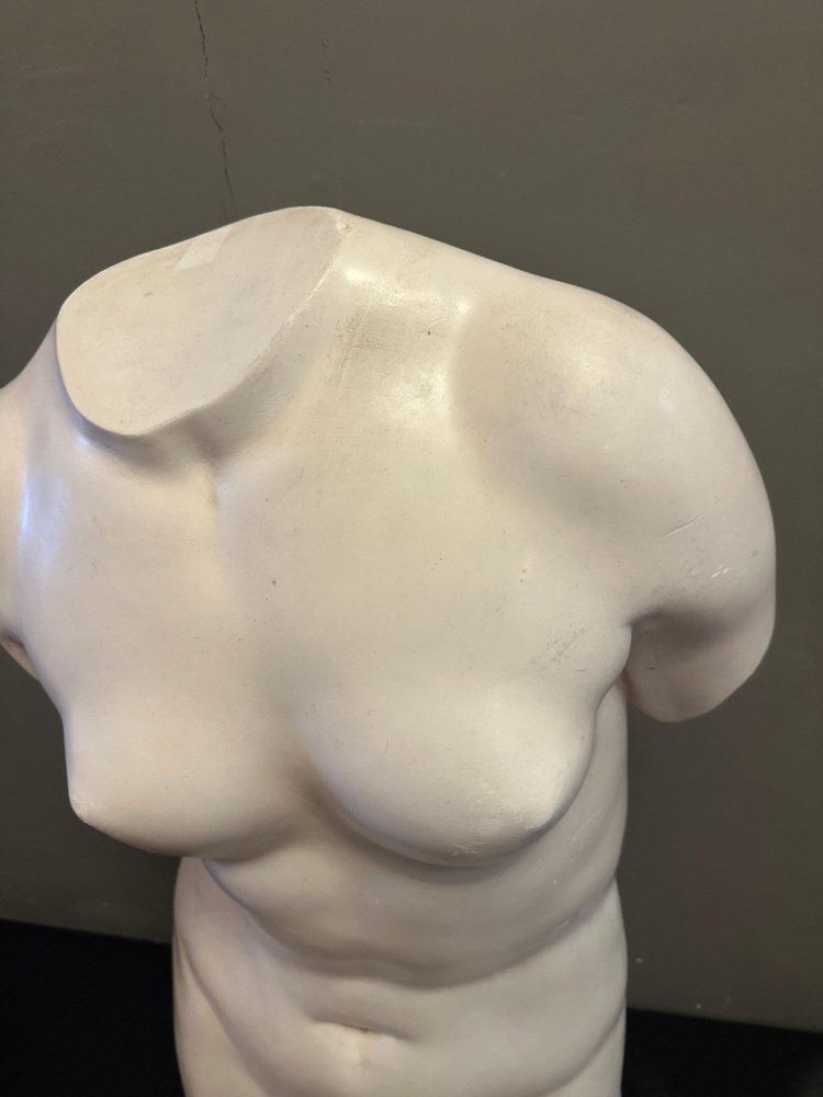 Italian Life Size Plaster Torso of Venus De Milo, 1950 for sale at Pamono