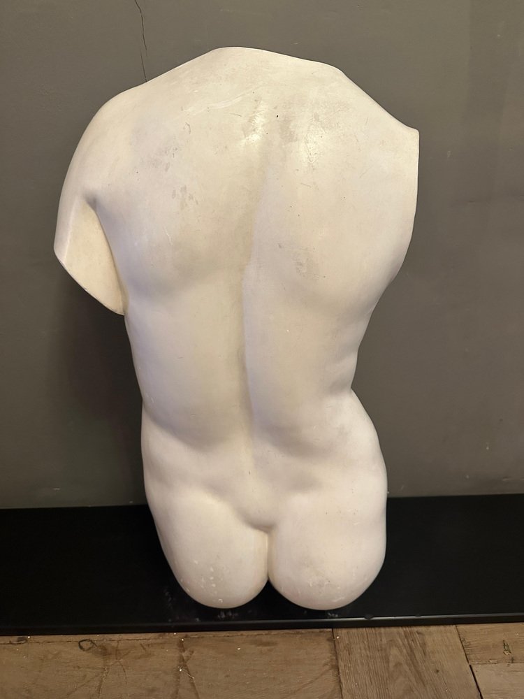 Italian Life Size Plaster Torso of Venus De Milo, 1950 for sale at Pamono