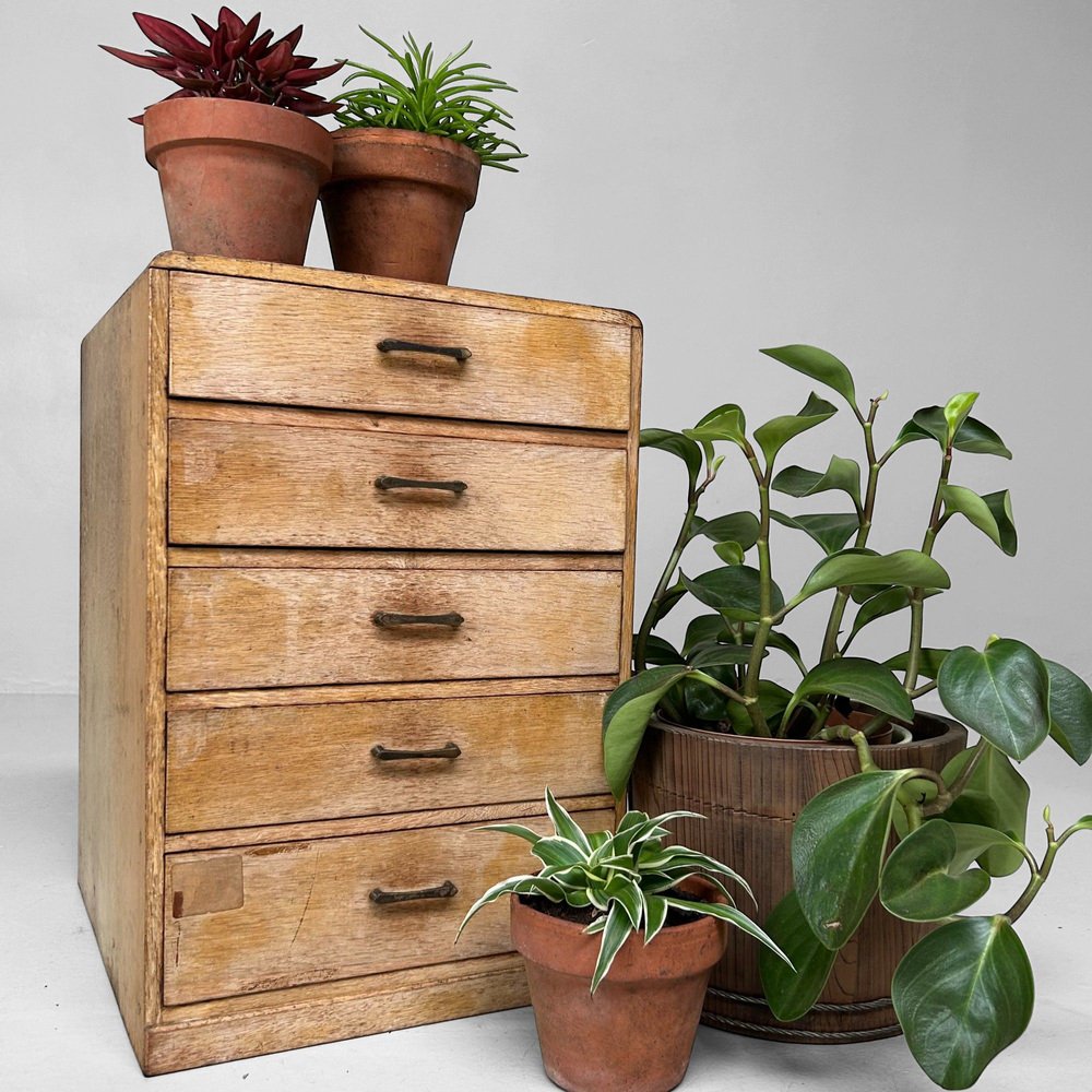 Vintage Cabinet from Aitoku Tansu-Ten, Tokyo, Japan, 1930s for sale at ...
