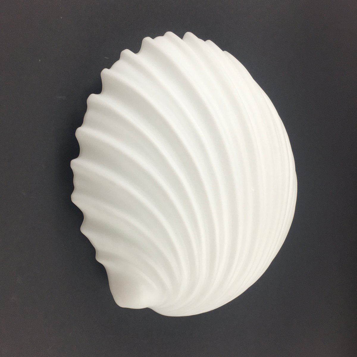 Large Minimalist Opaline Glass Shell-Shaped Wall Light from Limburg ...