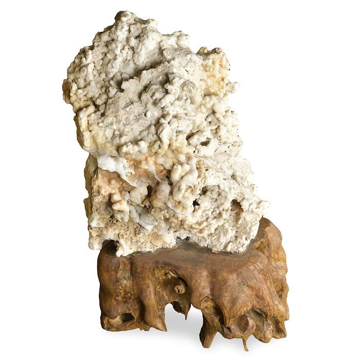 Calcite Concretion on Teak Root Base for sale at Pamono