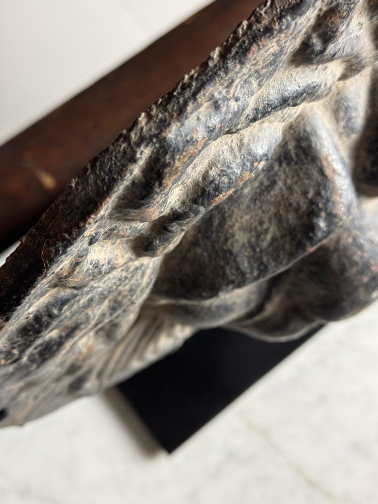 Lion Fountain Mask, 17th Century, Cast Iron for sale at Pamono