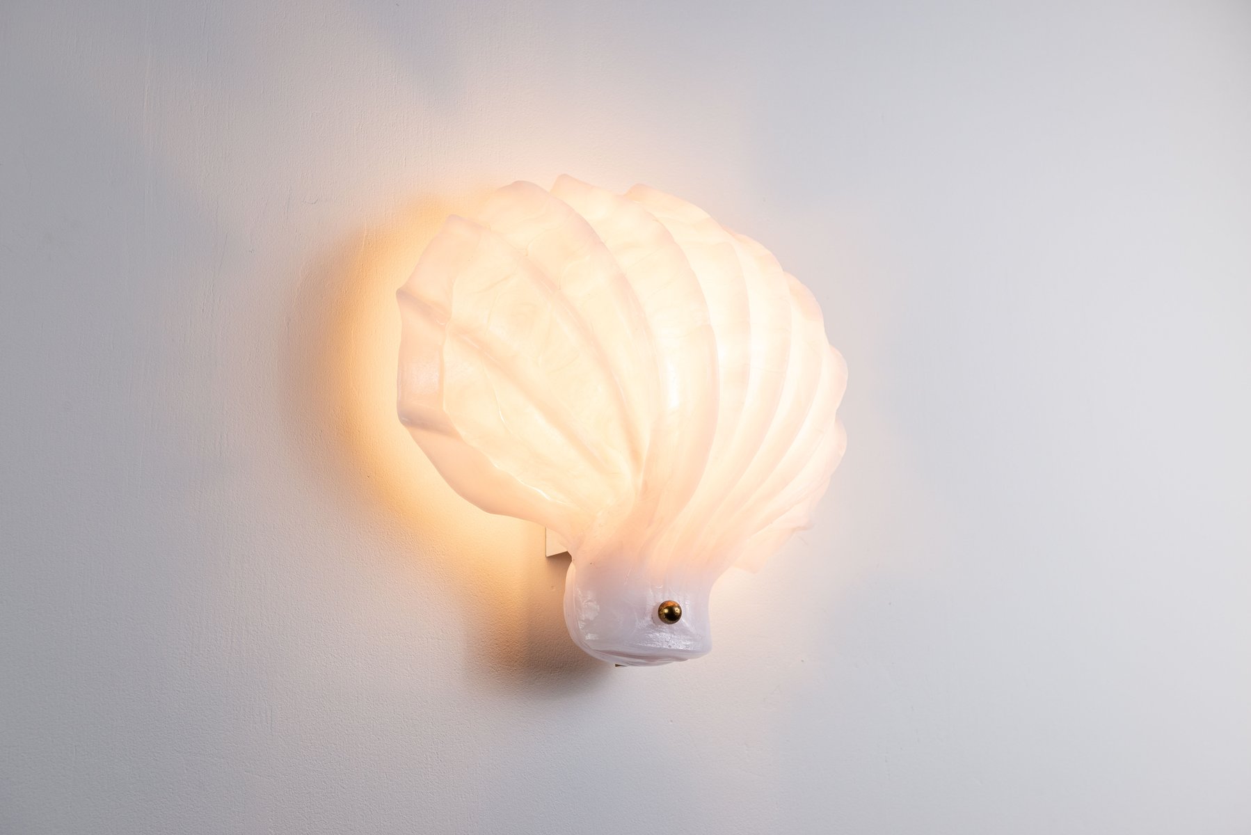 Acrylic Glass Shell Wall Lamp with Brass Detail for sale at Pamono