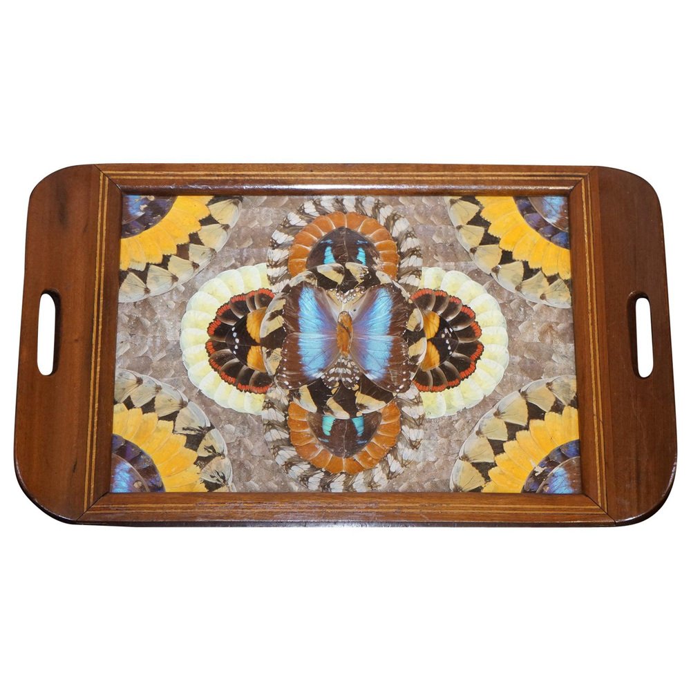 Vintage Brazilian Inlaid Wood Tray with Real Morpho Butterfly Wings for ...
