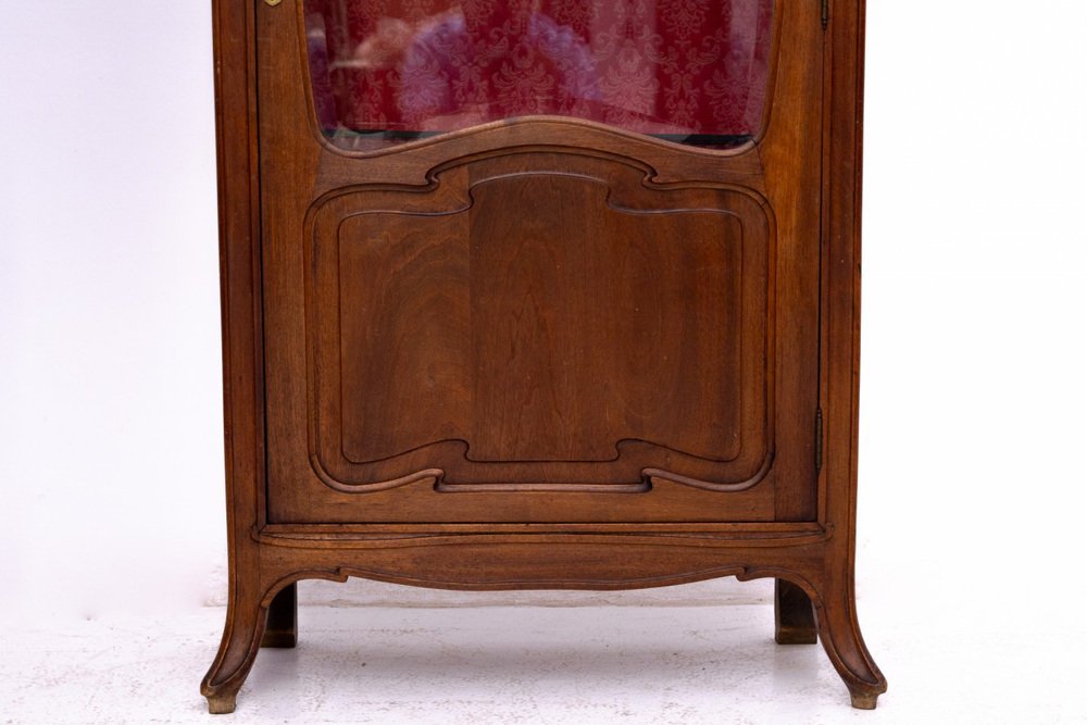 Art Nouveau Display Case, France, 1910s for sale at Pamono