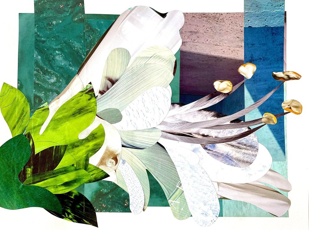 Maria Donata Papadia, Occimum Basilicum, Paper Collage for sale at Pamono