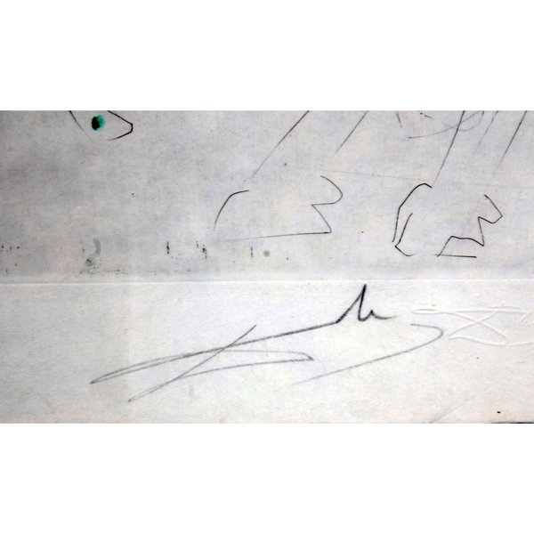 Salvador Dali, Les Amours de Cassandré, 1970er, Lithographie bei Pamono ...