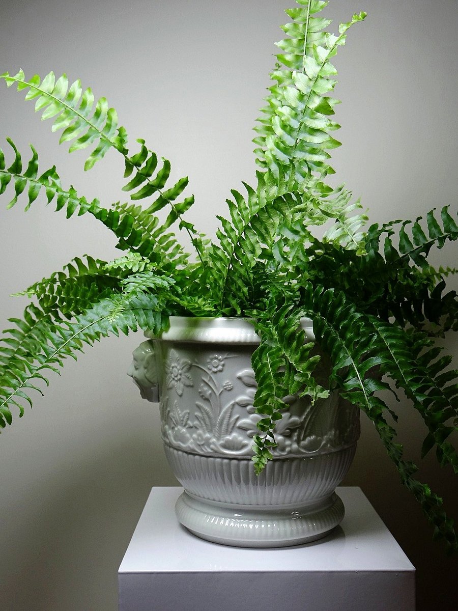 Large Porcelain Champagne Bucket from Haviland Limoges for sale at Pamono