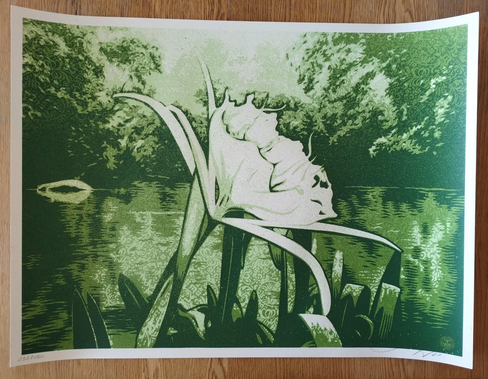 Shepard Fairey (Obey Giant), Spider Lily, Screenprint for sale at Pamono