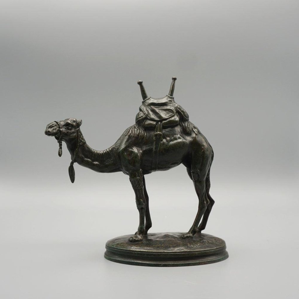 Alfred Barye, Dromedary, 19th Century, Bronze for sale at Pamono