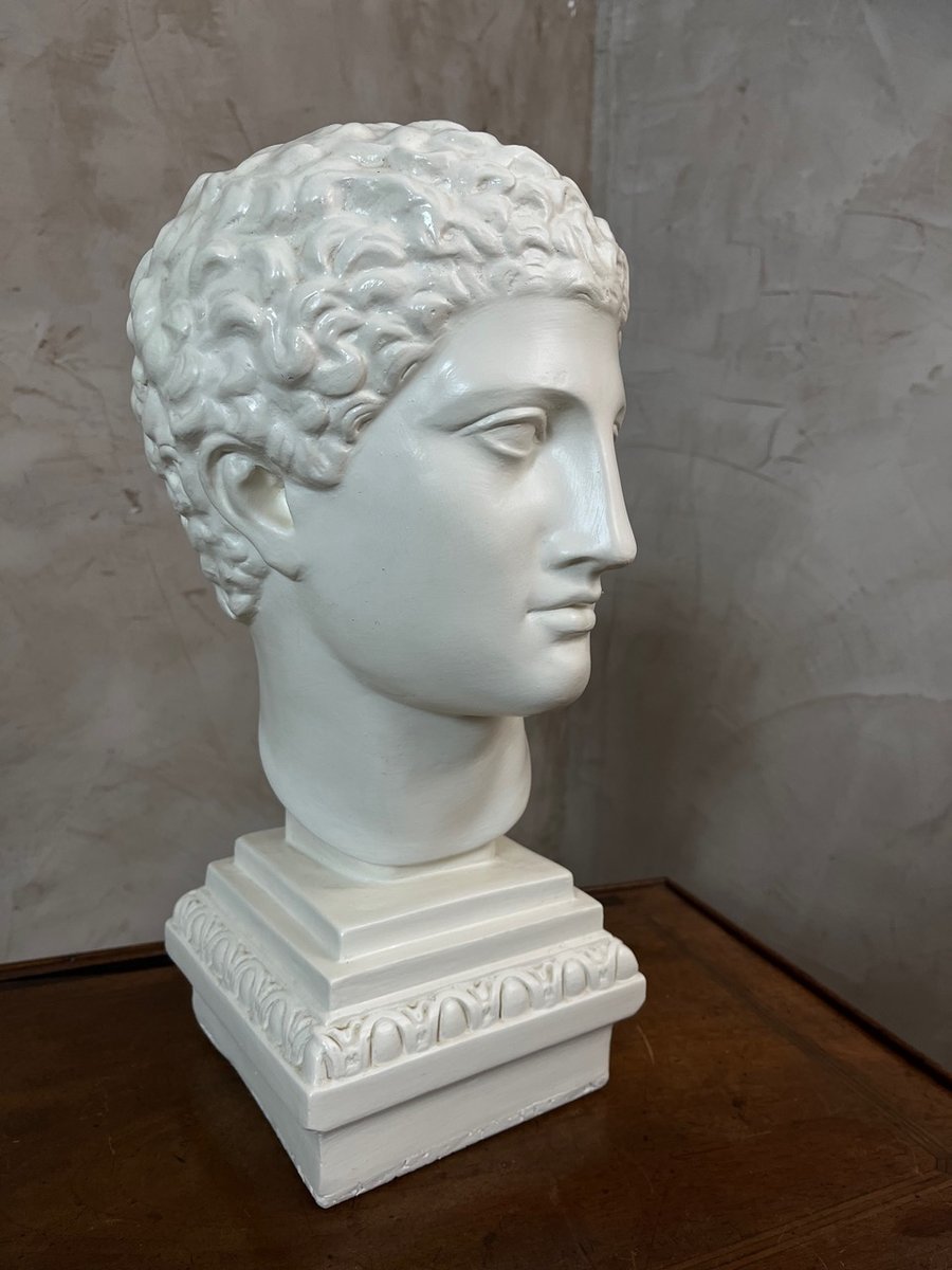 Plaster Bust of Apollo, 1950s for sale at Pamono