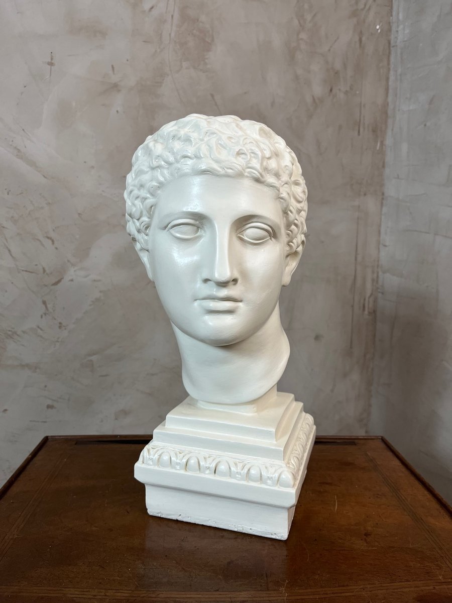 Plaster Bust of Apollo, 1950s for sale at Pamono