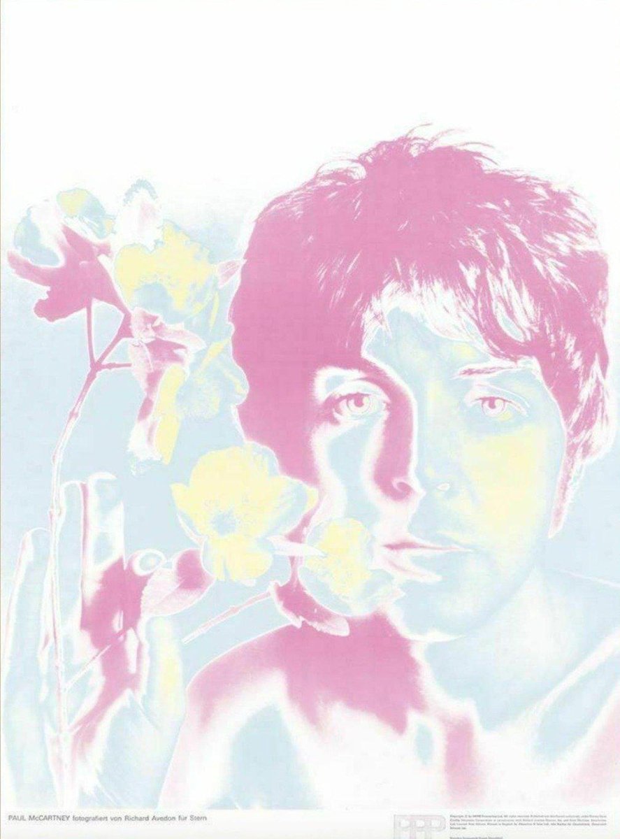 Richard Avedon, Paul McCartney Poster, 1968 for sale at Pamono