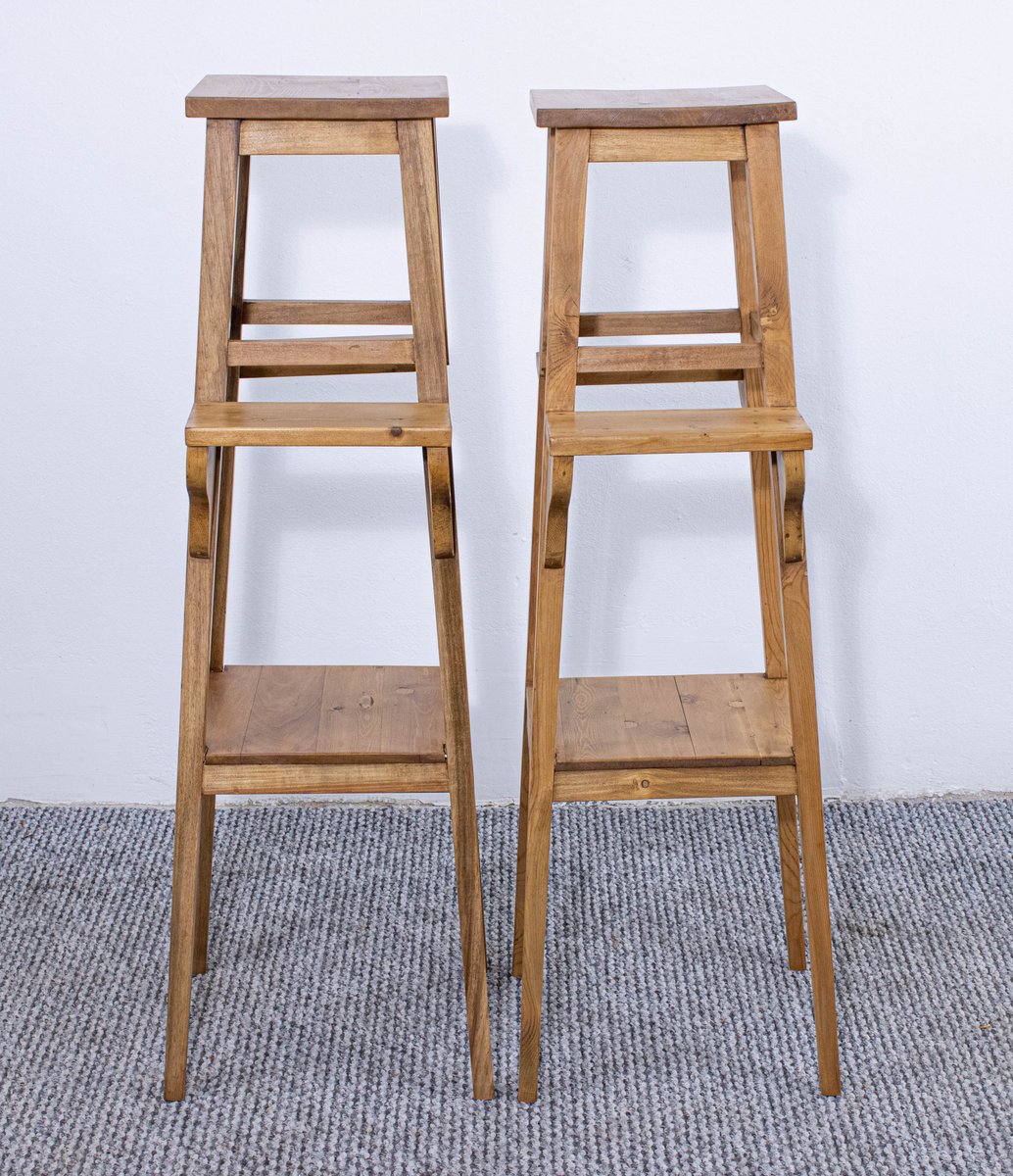 Antique Waxed Stripped Pine Plant Stands, Late 19th Century, Set of 2 ...