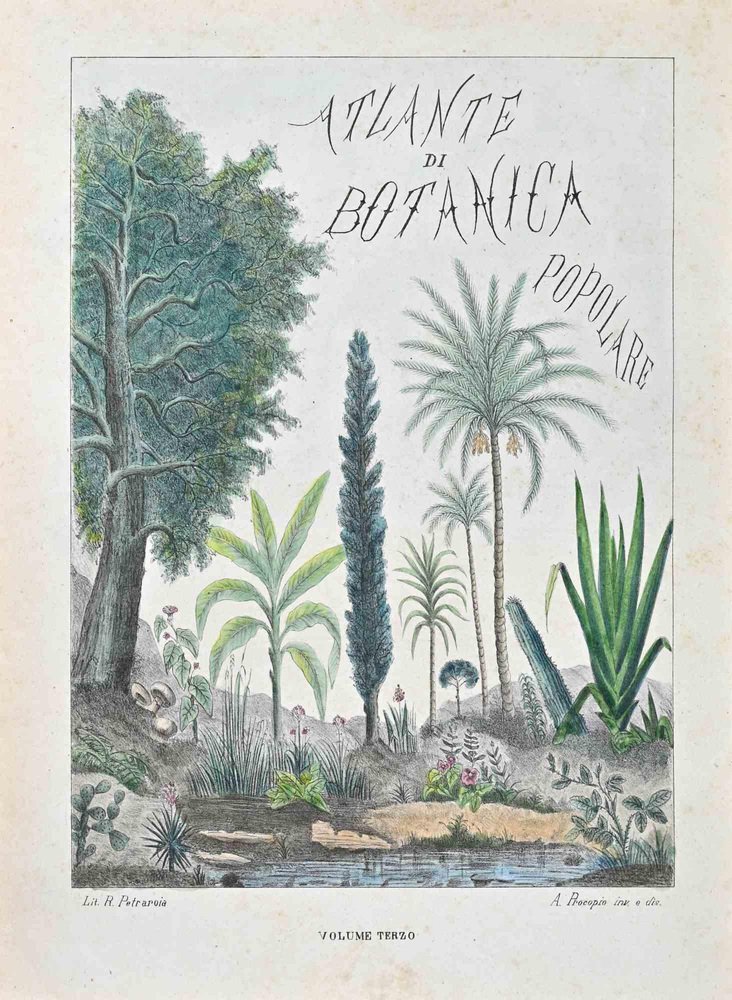 Vincenzo Tenore, Title Page of the Atlas of Popular Botany, Lithograph ...