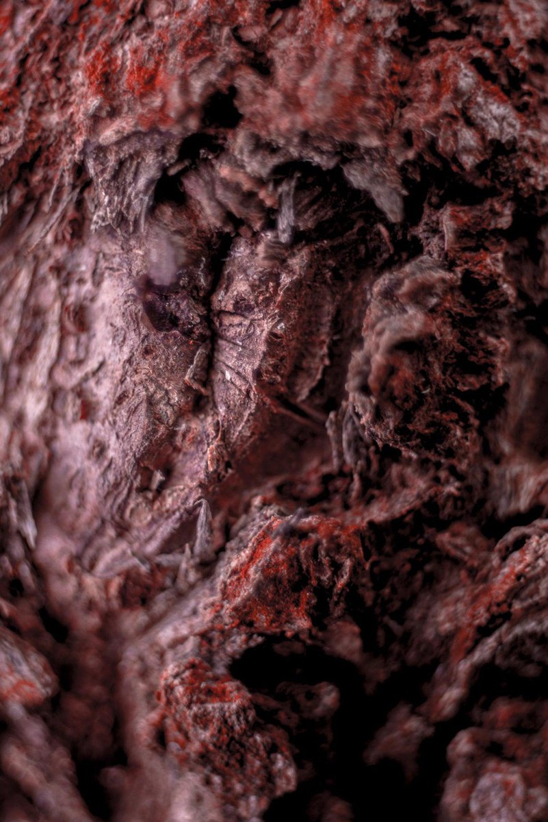 Marko Milić, Cocoon, Abstract Photography for sale at Pamono