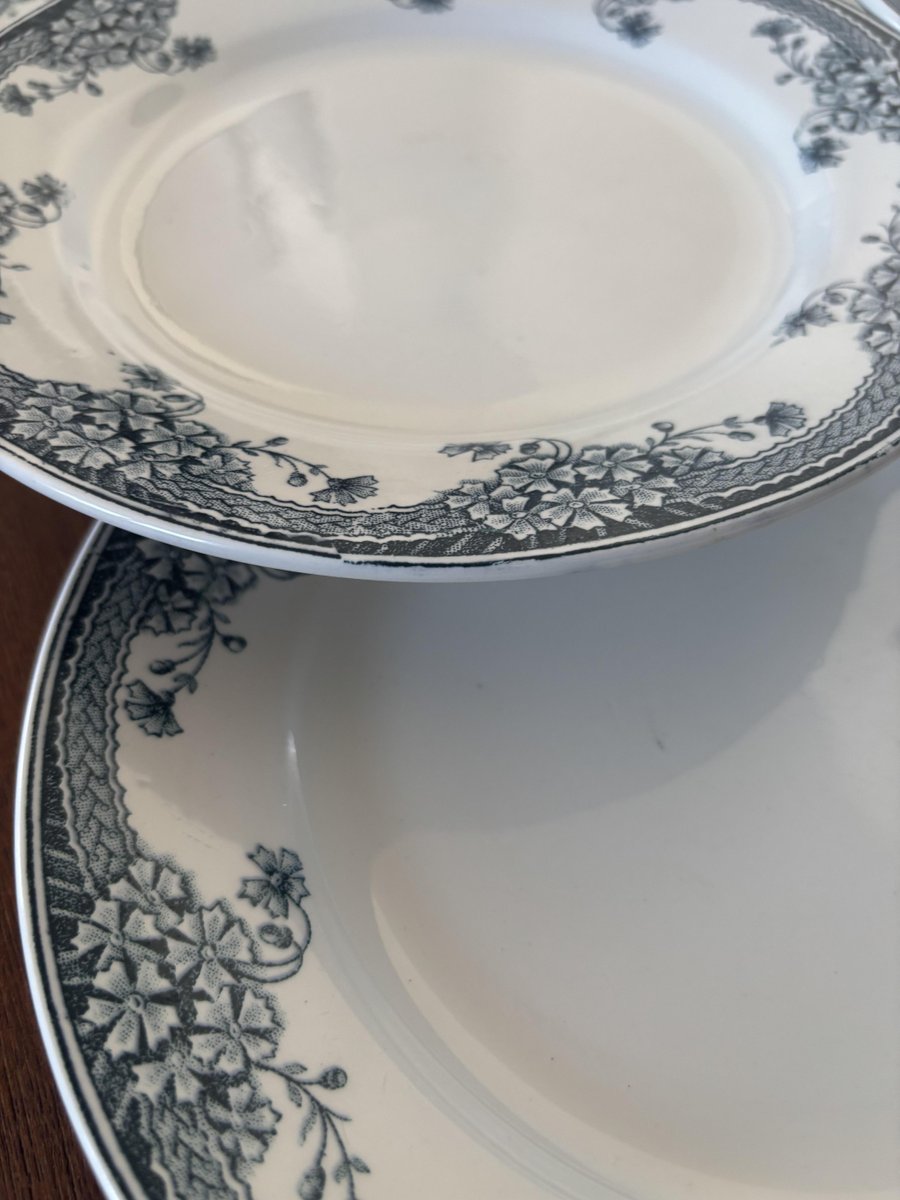 French Suzanne Plates in Earthenware from Saint-Amand, Early 20th ...