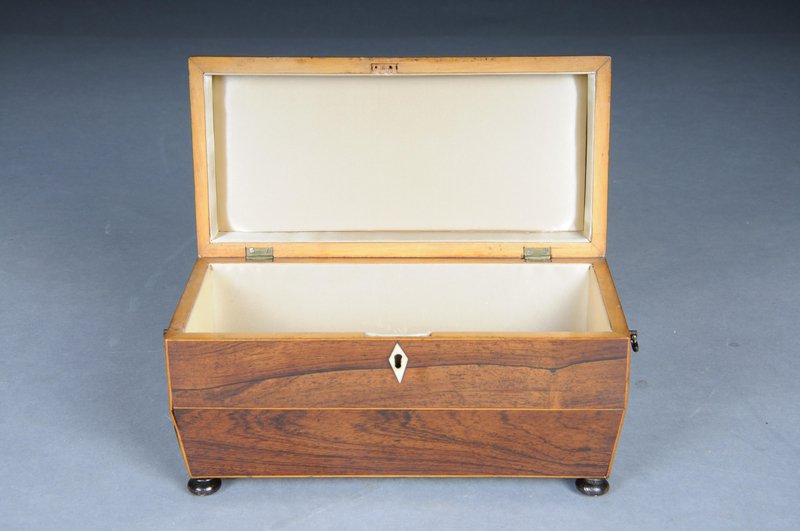 Antique English Regency Box, 1830s for sale at Pamono