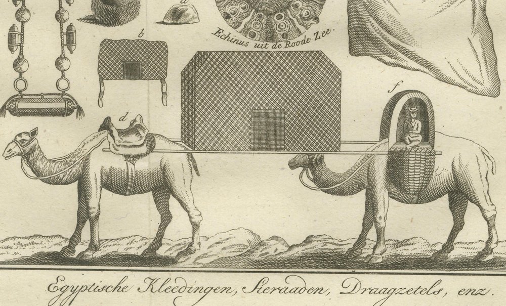 Egyptian Dress and Jewelry and Camel Transport, 1776, Paper for sale at ...