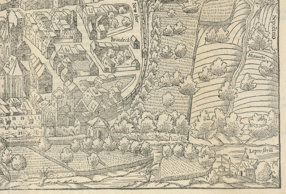 Bird's Eye View Woodcut Map of Rouffach, France, by Sebastian Münster ...
