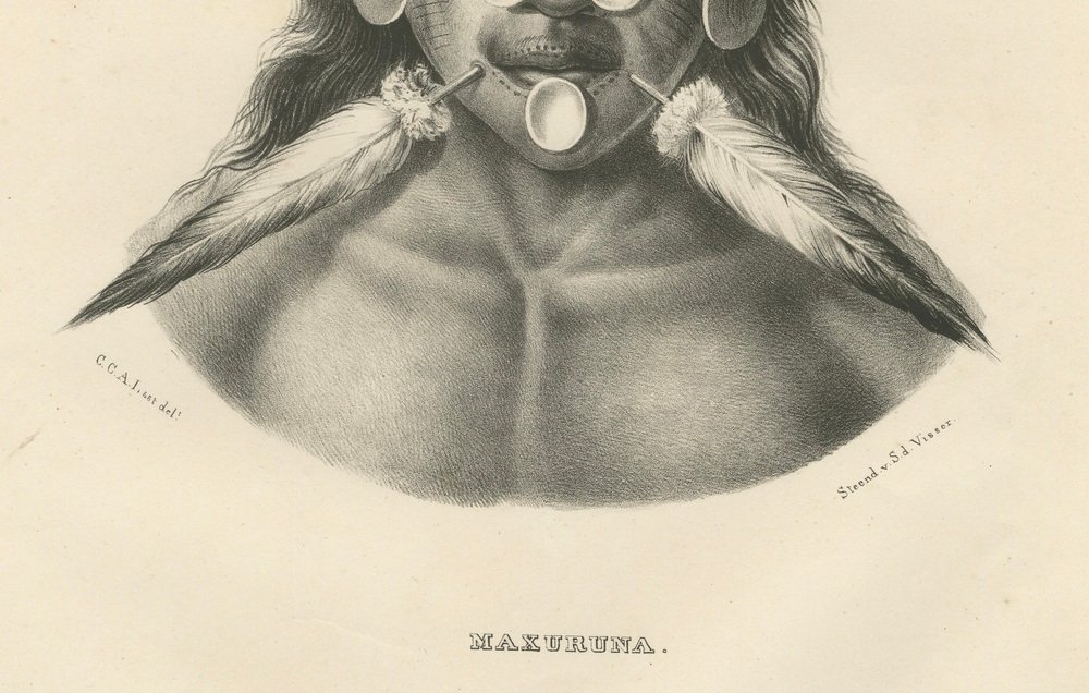 Karl Joseph Brodtmann, Member of the Maxuruna Amazon Tribe, 1836, Paper ...