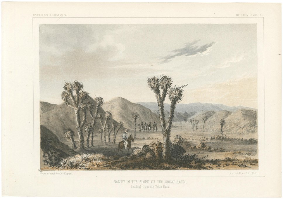 A. Hoen & Co. after Charles Koppel, Valley in the Slope of the Great ...