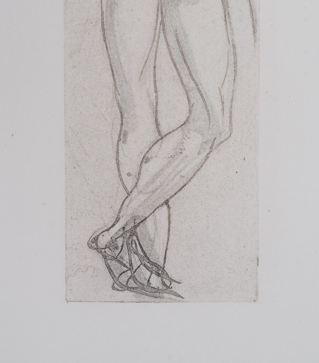 After Auguste Rodin, Shadow of a Warrior, Engraving for sale at Pamono