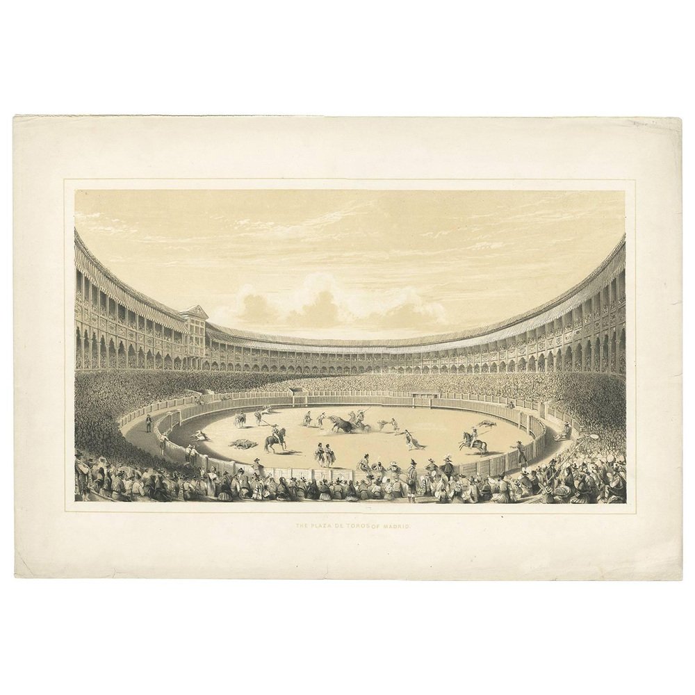 Illustration of the Plaza de Toros of Madrid, 1860, Print for sale at ...
