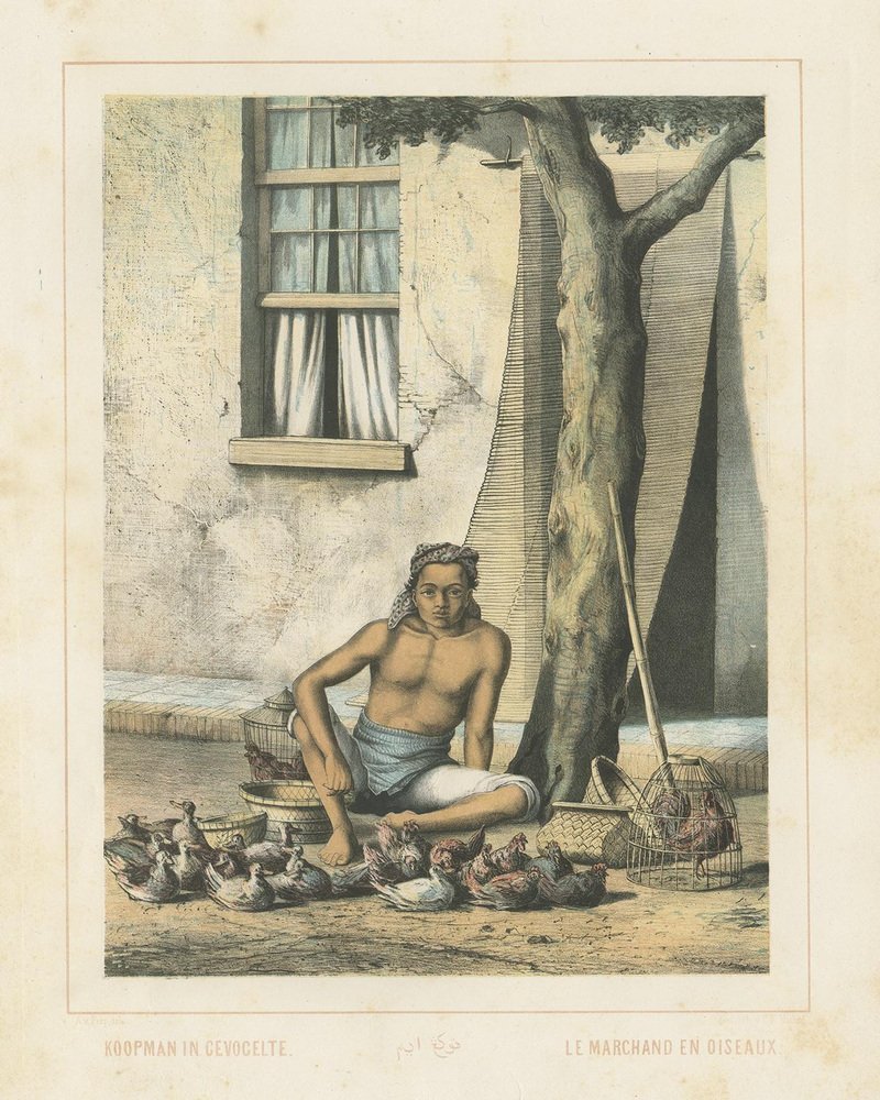 Van Pers, A Javanese Poultry Merchant, 1850, Print for sale at Pamono