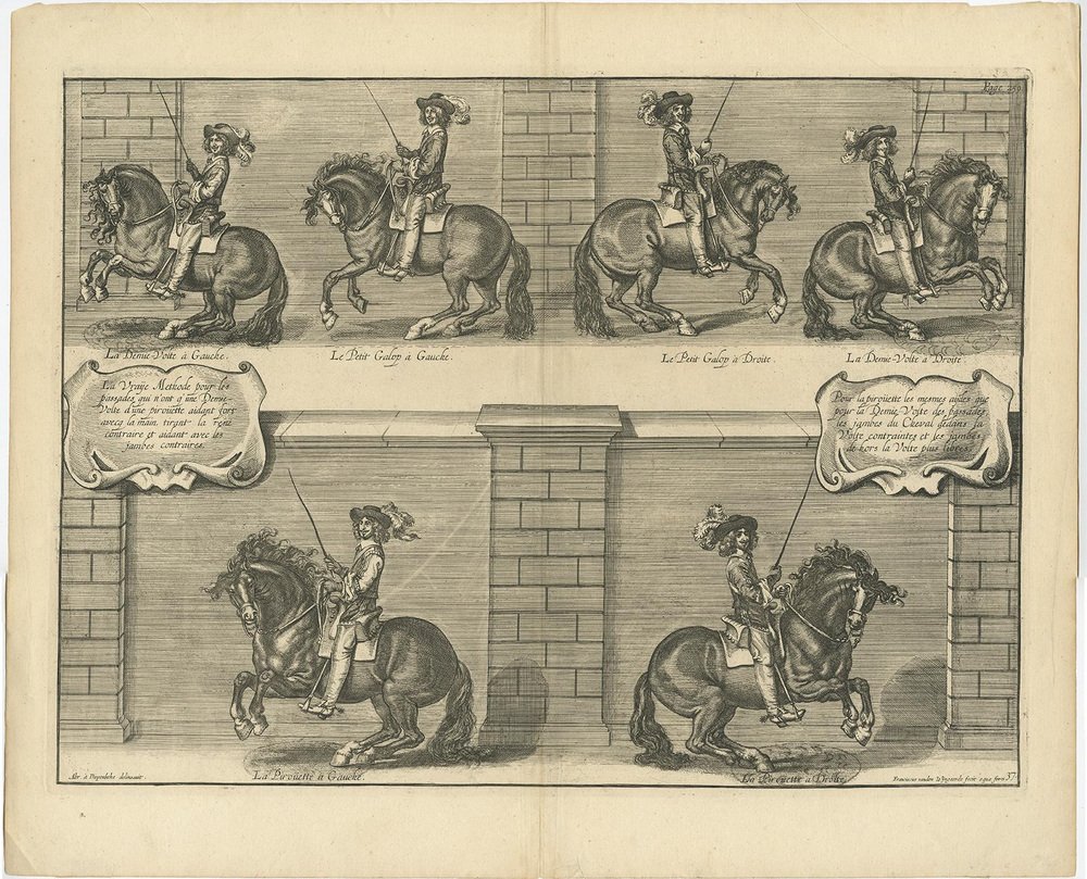After Cavendish, Illustration of the Schooling of Horses in the Early ...