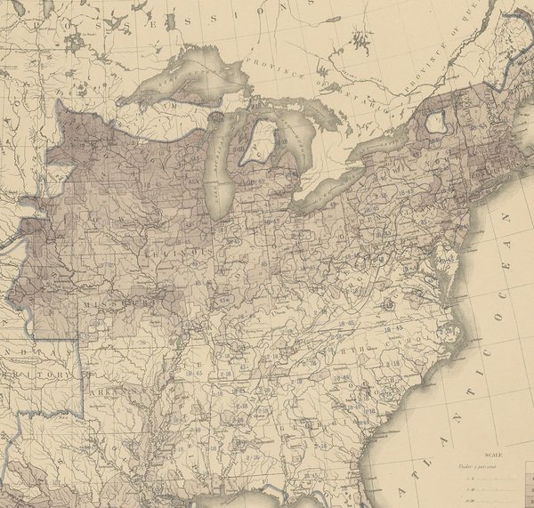 Antique Chart of the US Foreign Population Proportion in 1870, 1874 for ...