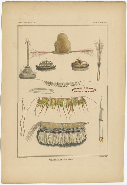 Temminck, Papua Decoration New Guinea, 1840, Paper for sale at Pamono